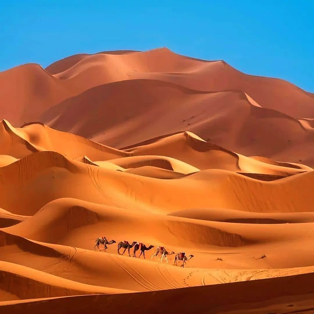 GUIDA DI VIAGGIO MAROCCO 2024/2025 - Esplorare Marocco